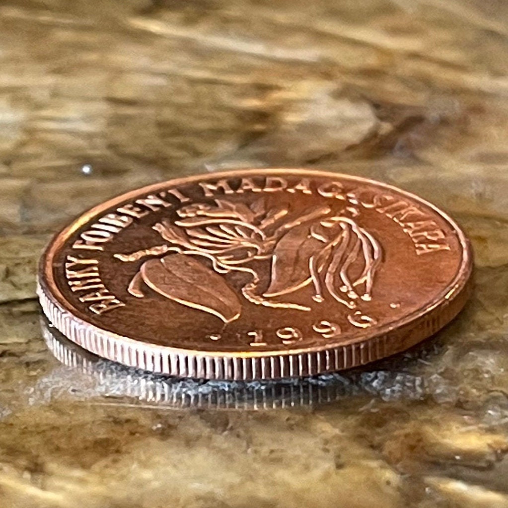 Zebu and Vanilla 10 Francs Madagascar Authentic Coin Money for Jewelry ...