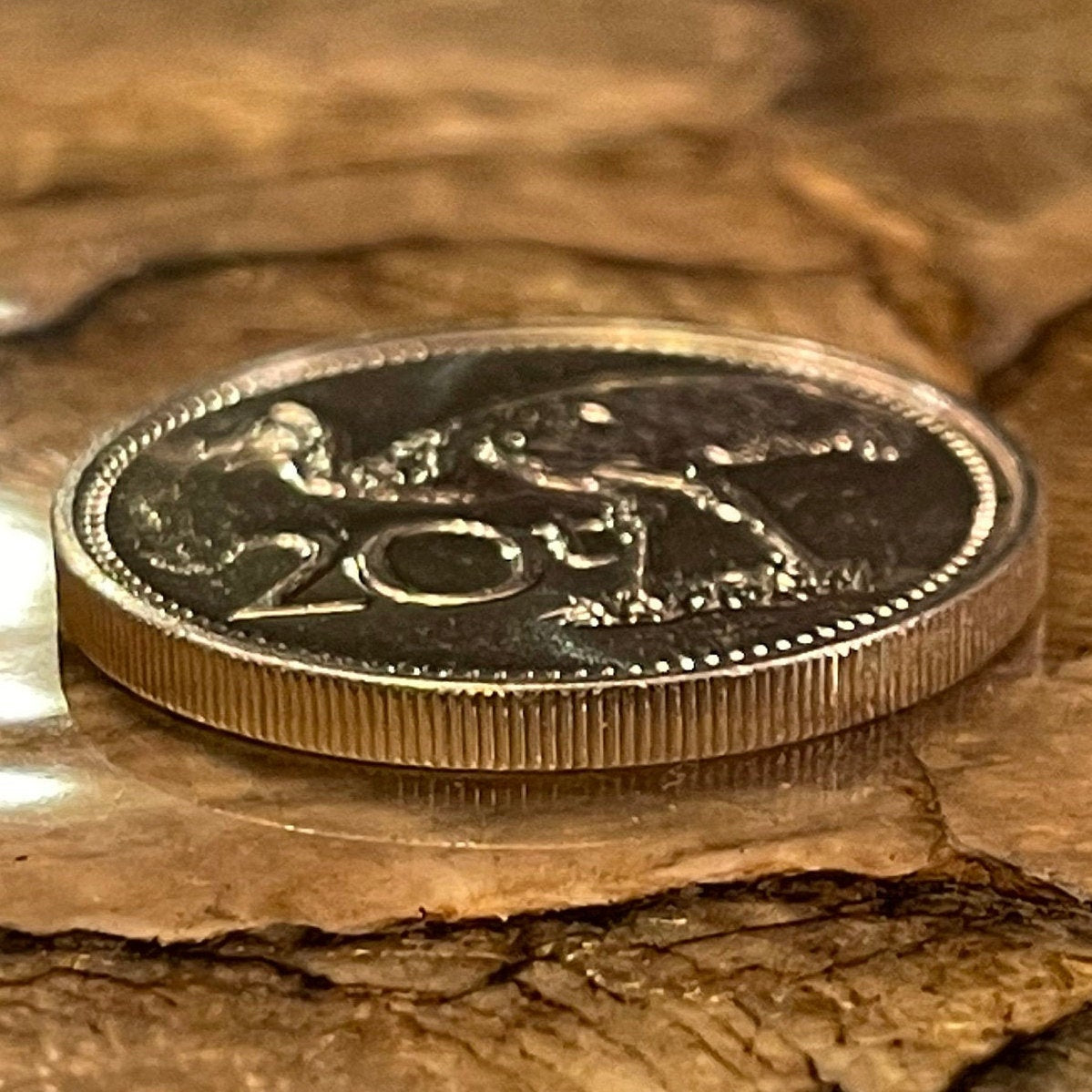 Dwarf Cassowary & Bird of Paradise 20 Toea Papua New Guinea Authentic ...