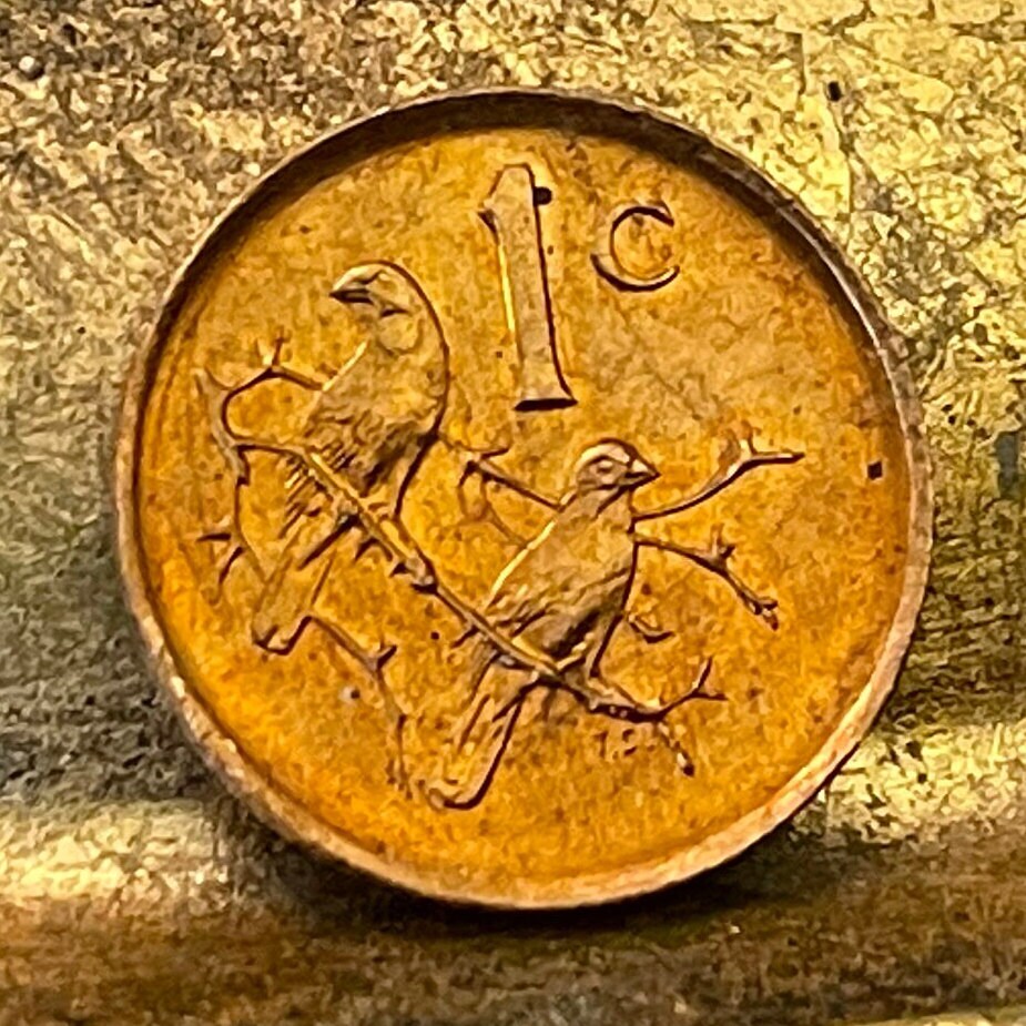 Cape Sparrows 1 Cent South Africa Authentic Coin Money for Jewelry and ...